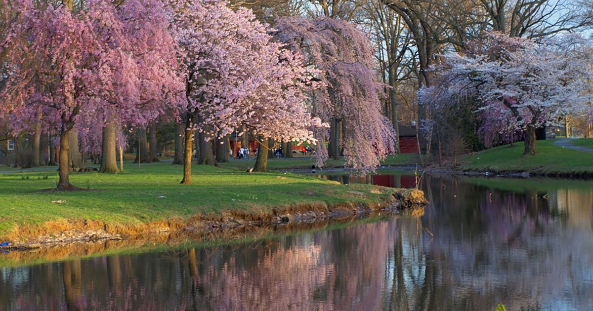 Elizabeth, NJ Visitors Guide | Fun Facts & Trip Planning | Visit ...